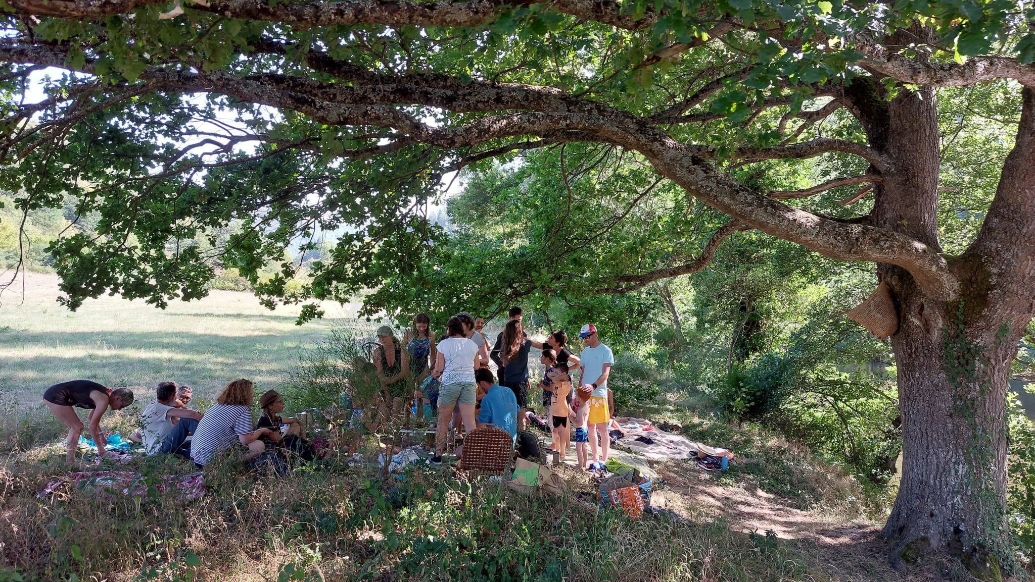 Sorties Nature sur les Espaces Naturels Sensibles de Haute-Loire - REEA
