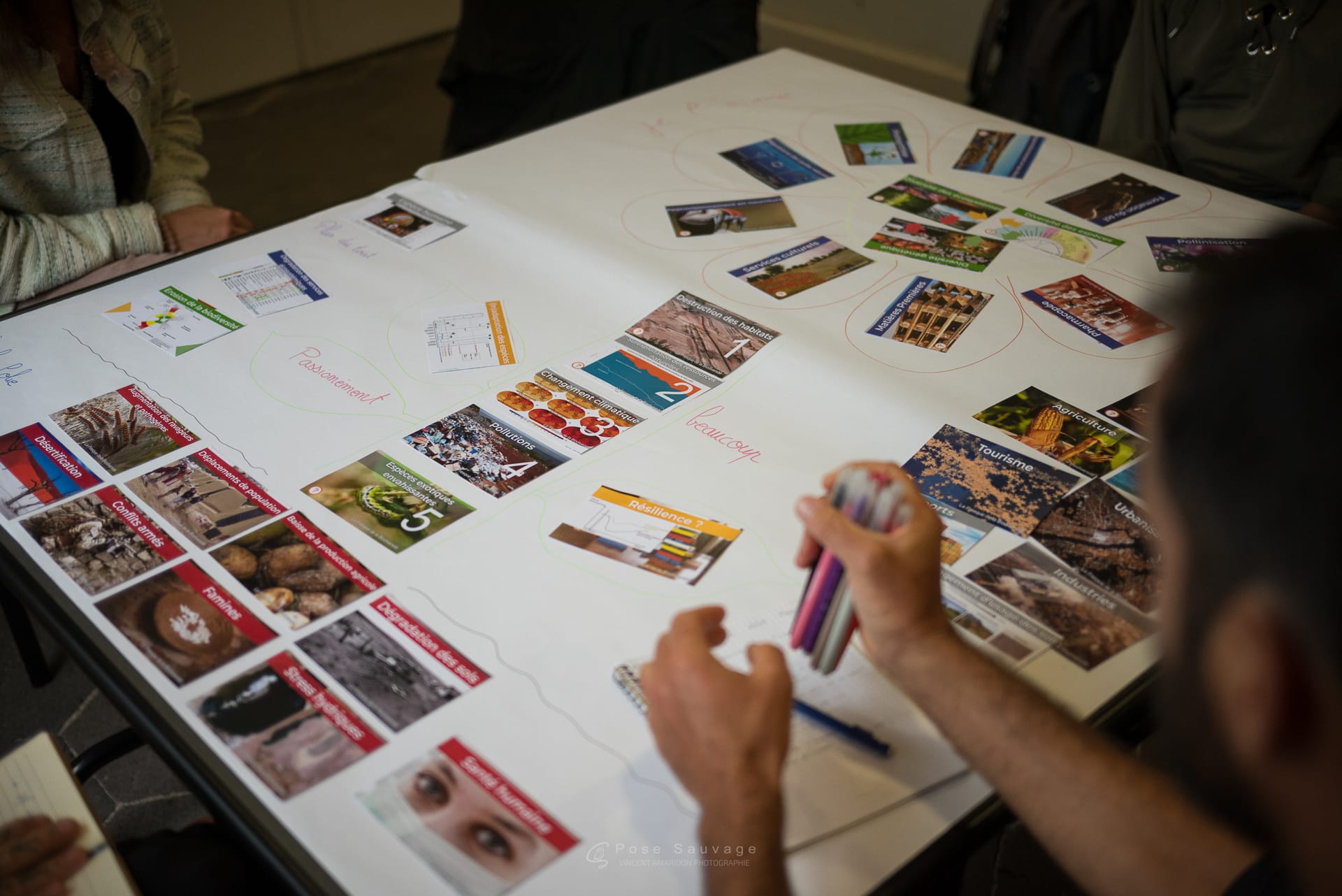 Retour sur la formation « Biodiversité » - REEA